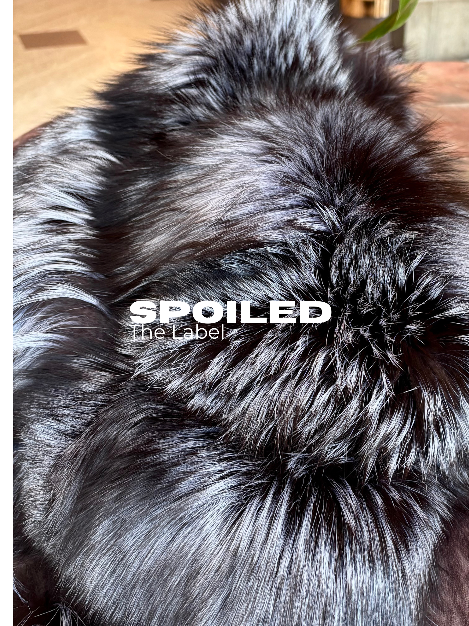THE COLLECTION – SPOILED THE LABEL